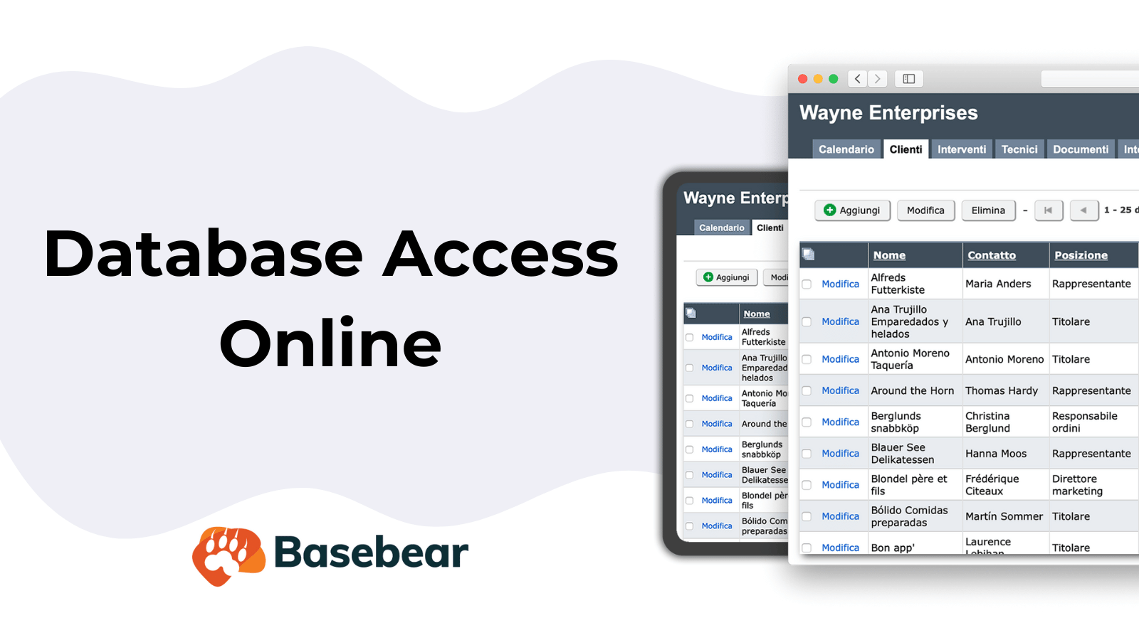 Database Access online